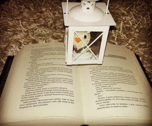 V kleci od Ellison Cooper (Andrea Bátovská) | Recenze knih | Kritiky.cz