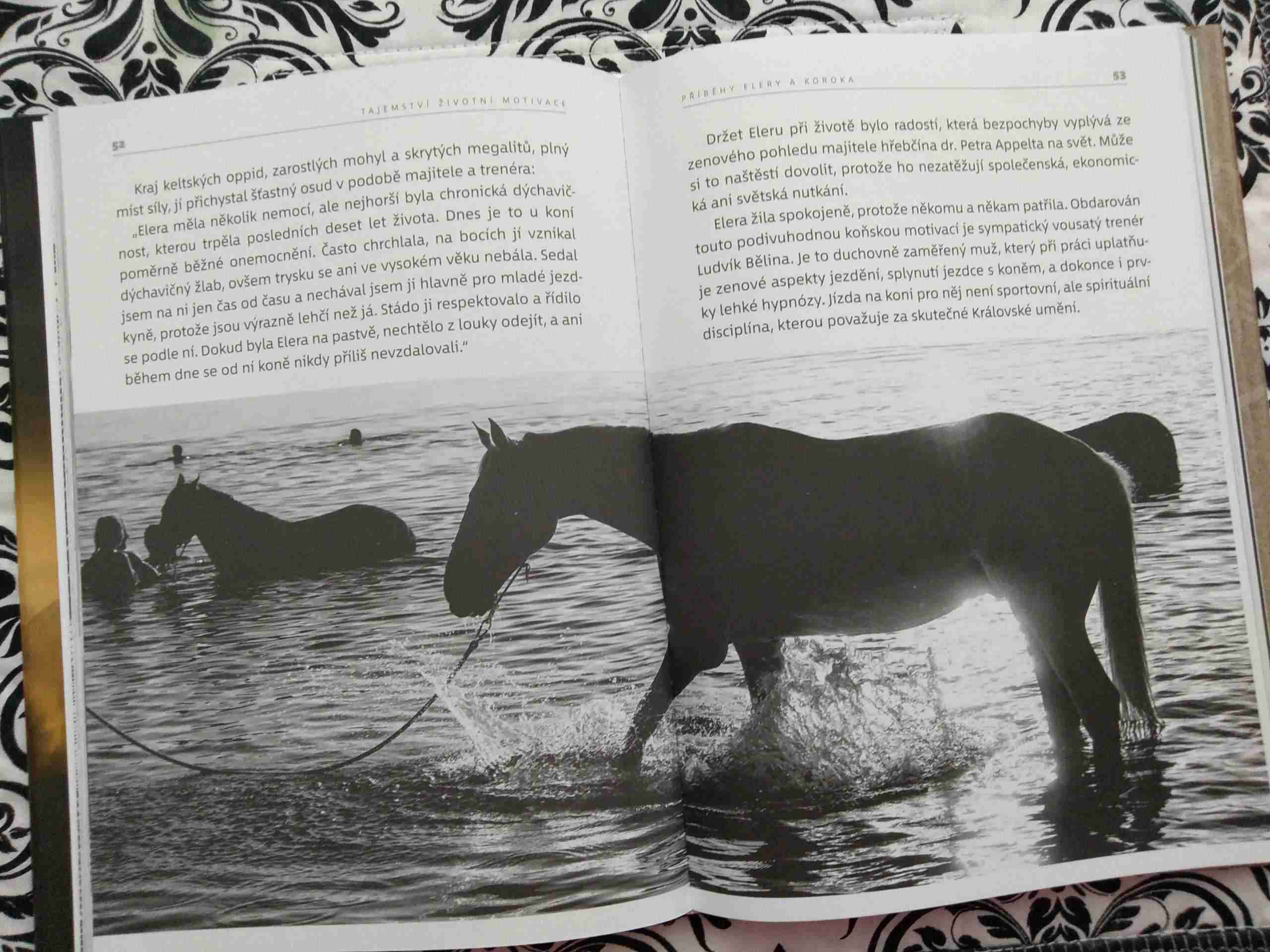 Jelínek, Kuchař: Tajemství životní motivace | Recenze knih (Renata ...