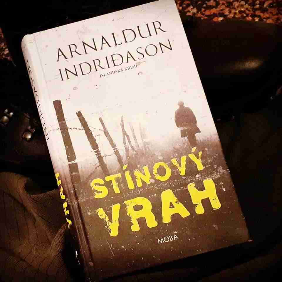 Všude číhá "STÍNOVÝ VRAH" (Andrea Bátovská) | Recenze knih | Kritiky.cz