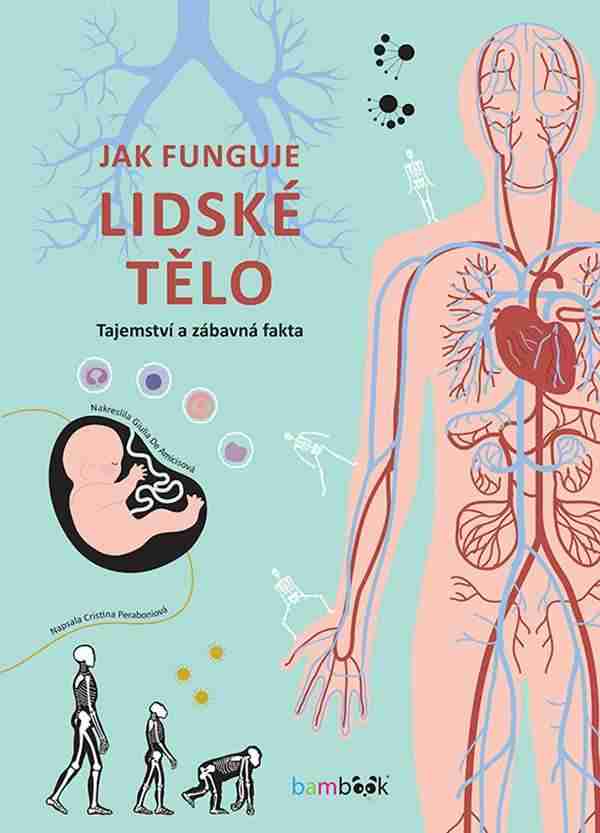 Jak funguje lidské tělo - tajemství a zábavná fakta - lidské tělo v ...
